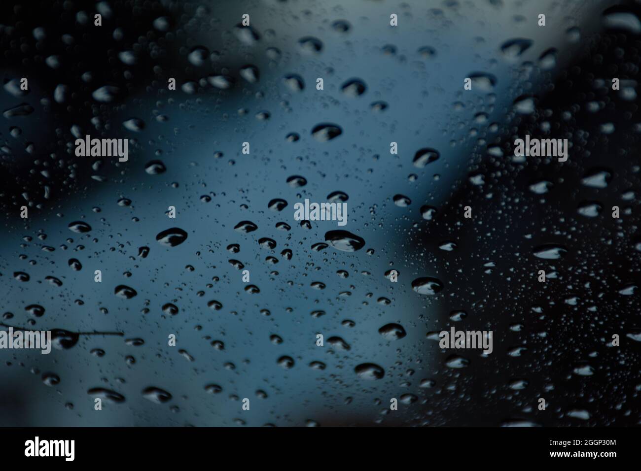 Selective focus of raindrops on a glass surface Stock Photo - Alamy