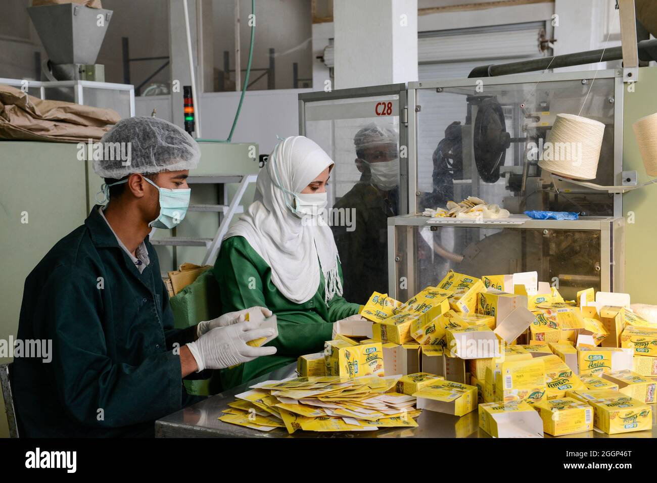 EGYPT, Bilbeis, Sekem organic farm, desert farming, ISIS factory ...