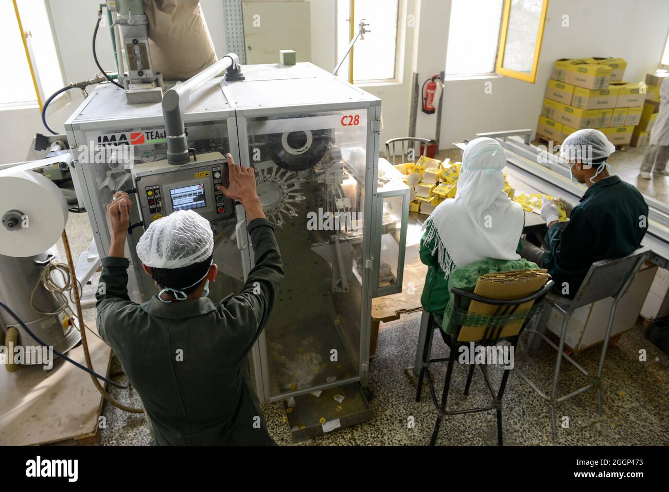 EGYPT, Bilbeis, Sekem organic farm, desert farming, ISIS factory ...