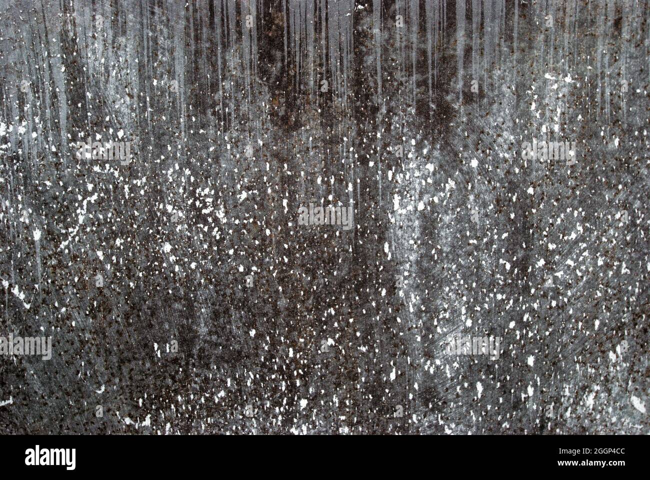 View of heavy silver raining wet drops falling on the forest Stock ...