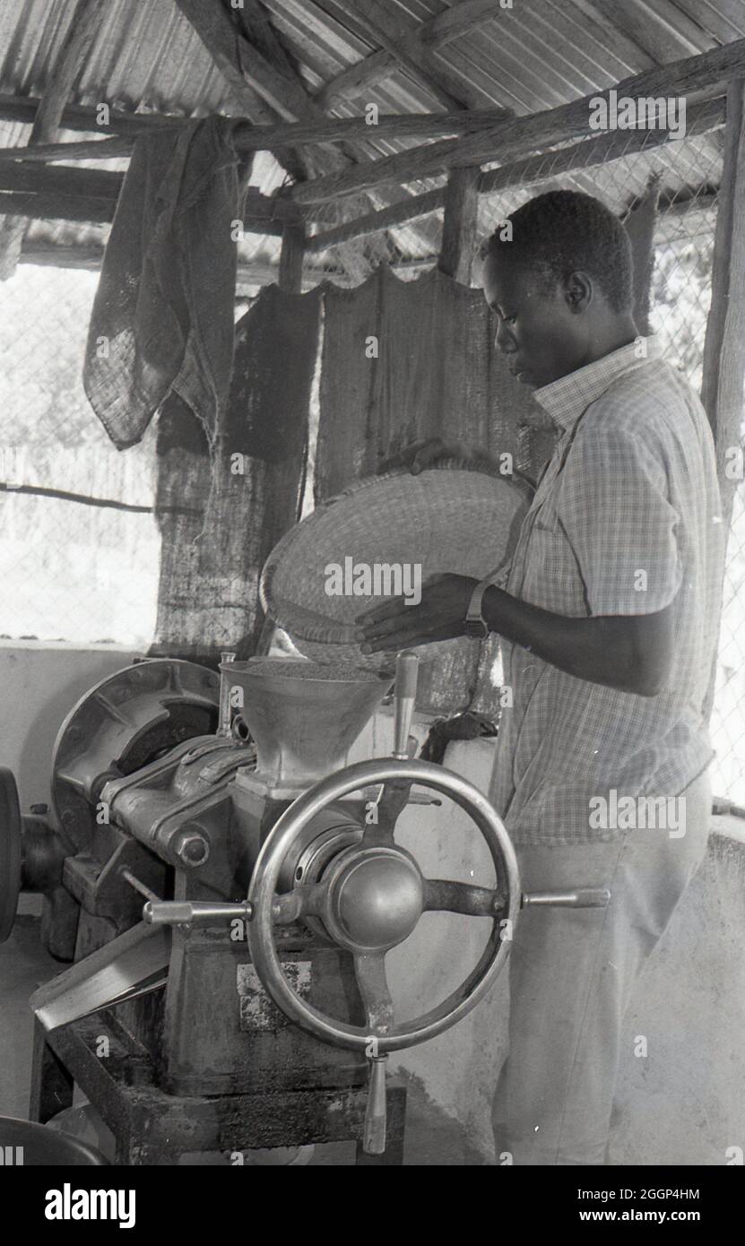 A man pouring grain into a machine Stock Photo - Alamy