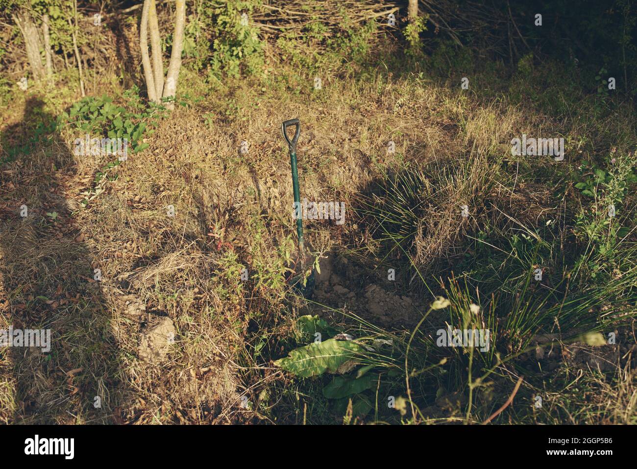 nature countryside docha fresh air Stock Photo - Alamy