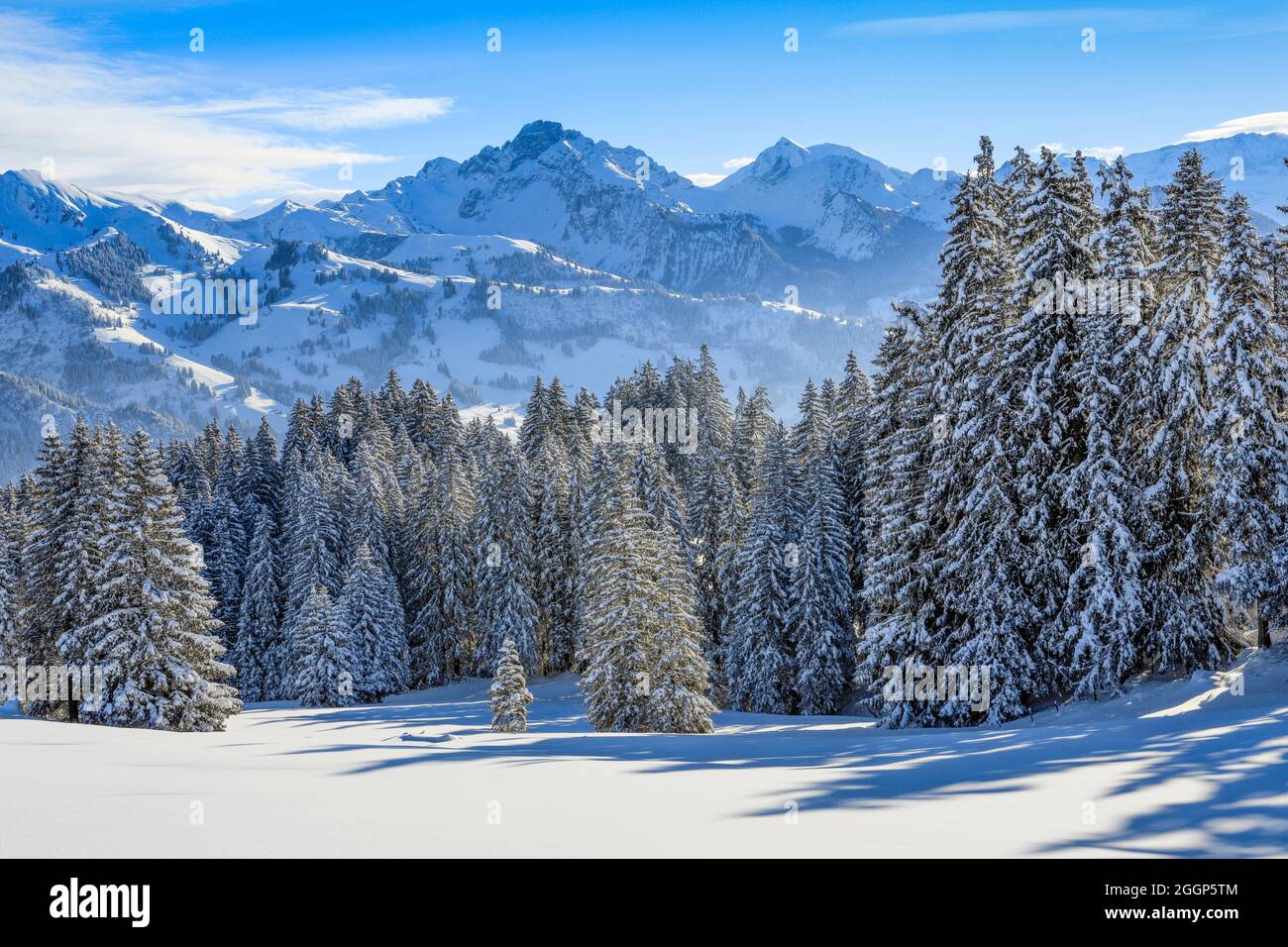 Aussicht vom Jaunpass, Schweiz Stock Photo - Alamy