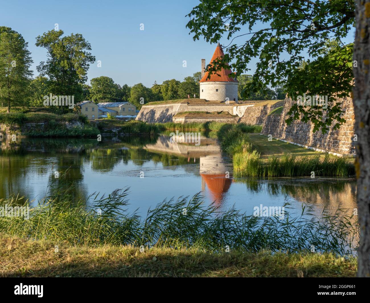 Estonia, Saaremaa Island. A beak to the tower of Kuressaare Castle ...