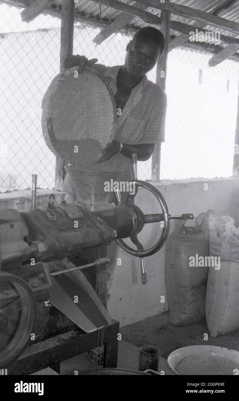 A man pouring grain into a machine Stock Photo - Alamy