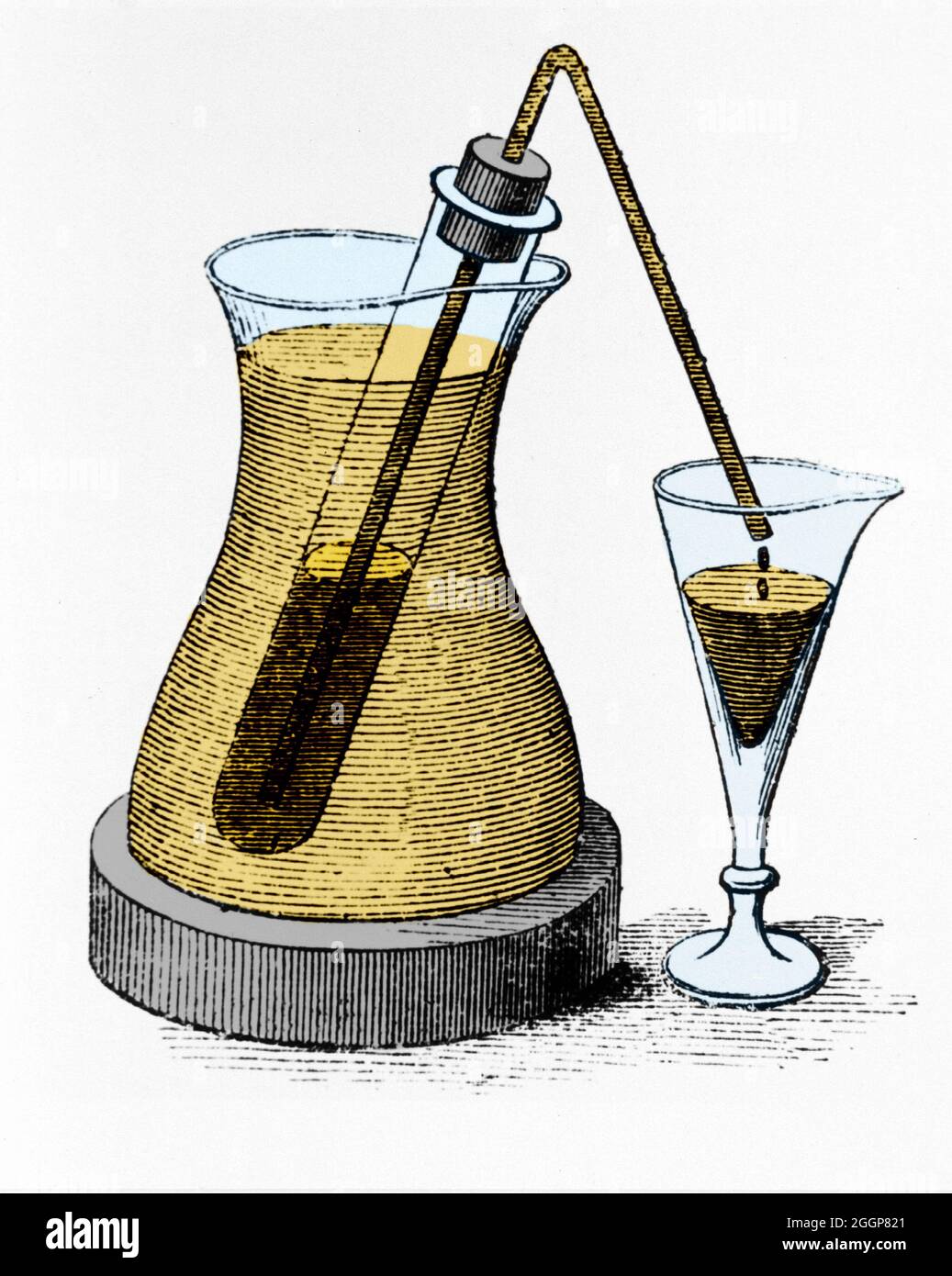 Fermentation apparatus for the detection of sugar in the urine of ...