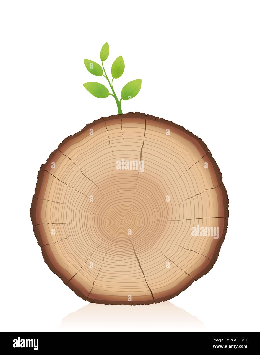 Tree as symbol of growth hi-res stock photography and images - Alamy