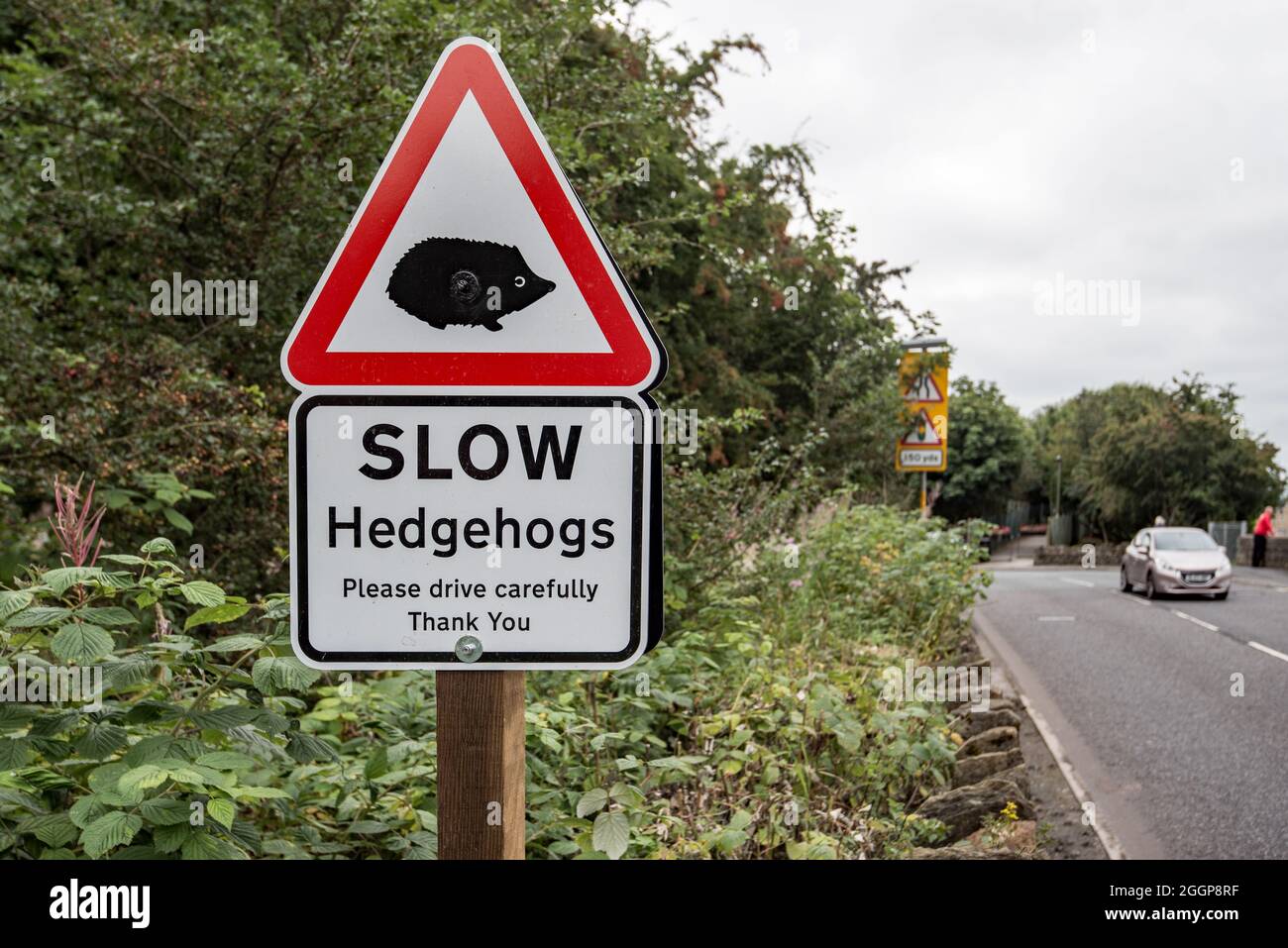 New addition to UK traffic signs, SLOW for Hedgehogs Stock Photo - Alamy