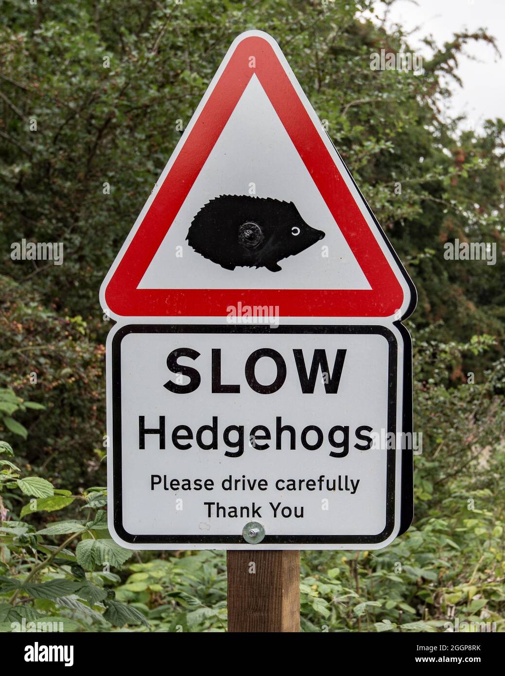 Hellifield hedgehog signage in the yorkshire dales national park hi-res ...