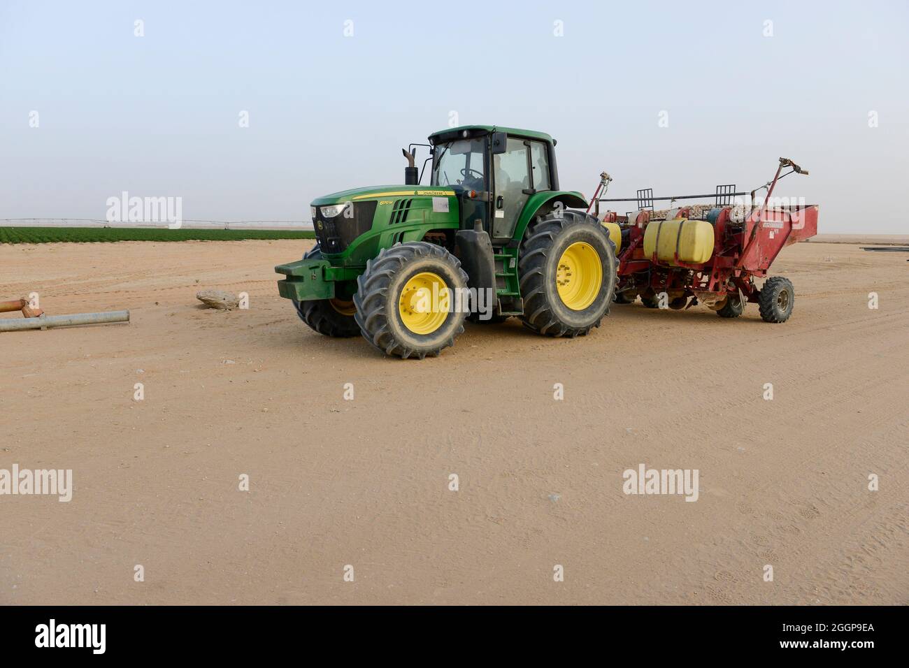 EGYPT, Farafra, potato farming in the desert, United Farms, John Deere ...