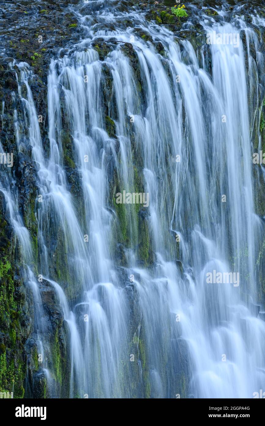 Slow creek hi-res stock photography and images - Alamy