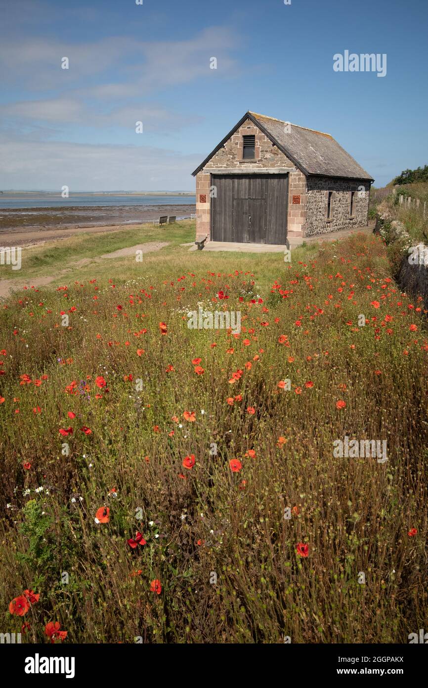 Old 1884 to 1960 historic RNLI building on Holy Island, Northumberland ...