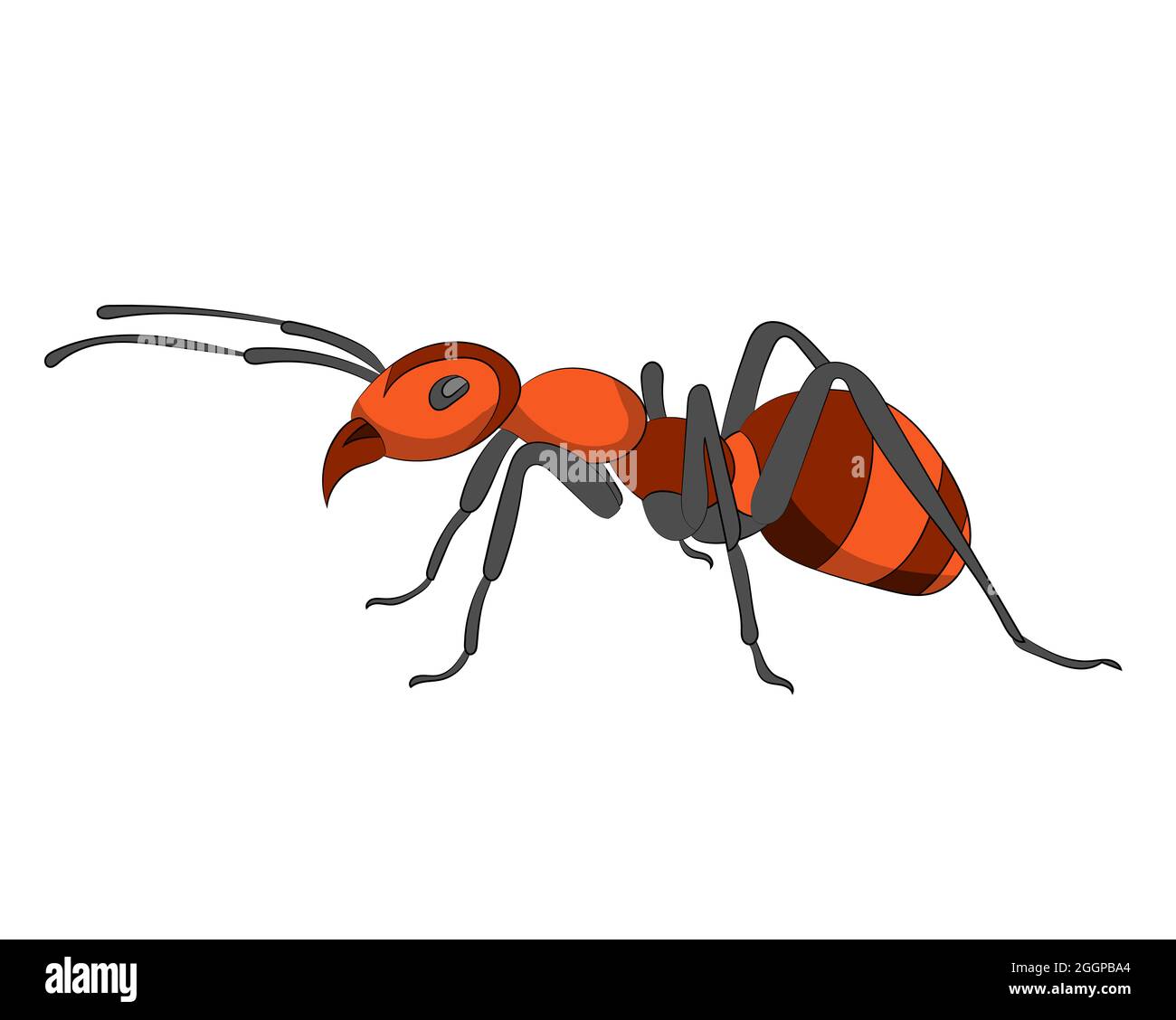 Red Ant Drawing