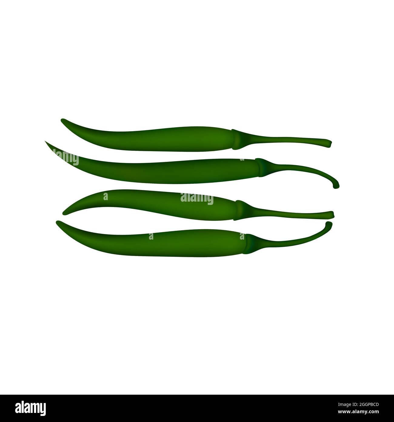 Green chili vector image in white background. Fresh green chilli vector ...