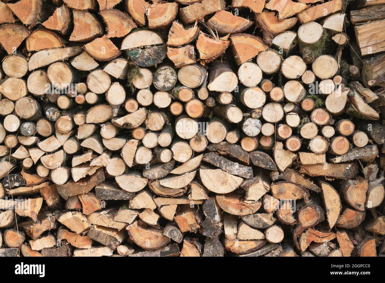 Cross section of a pile of logs stored in a woodshed Stock Photo - Alamy