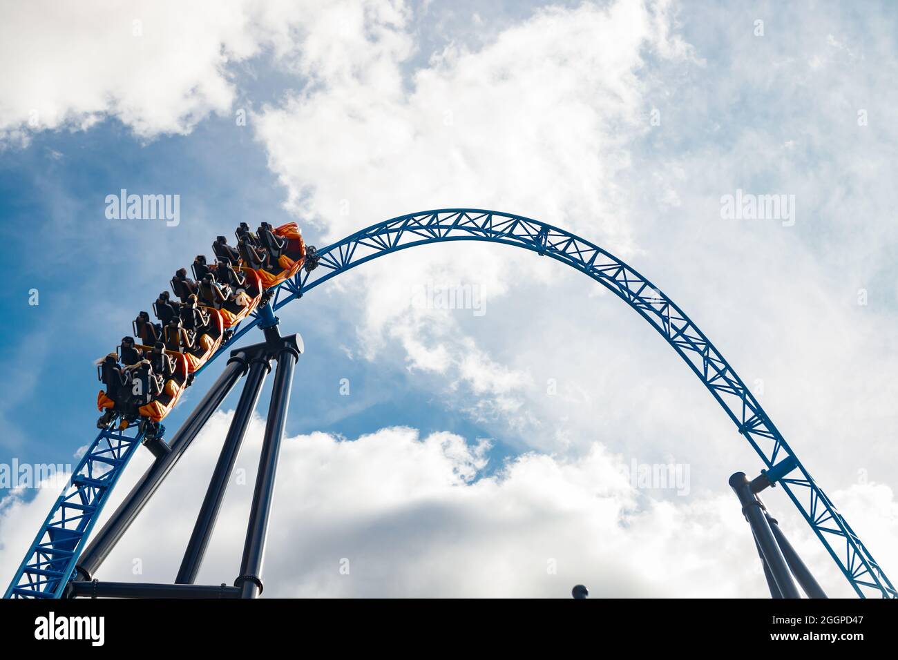 Roller Coaster In Motion