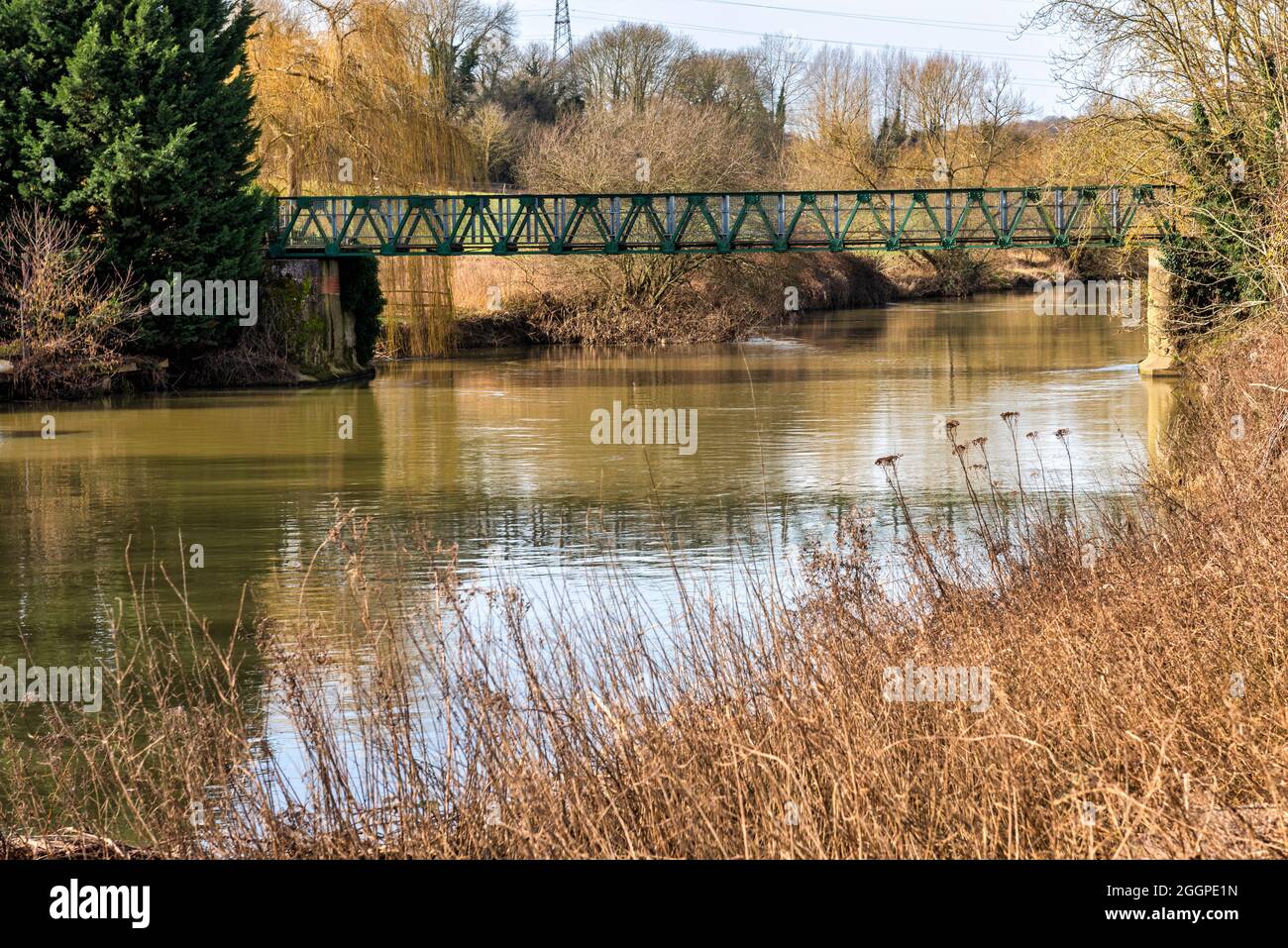River calm water between trees hi-res stock photography and images - Alamy