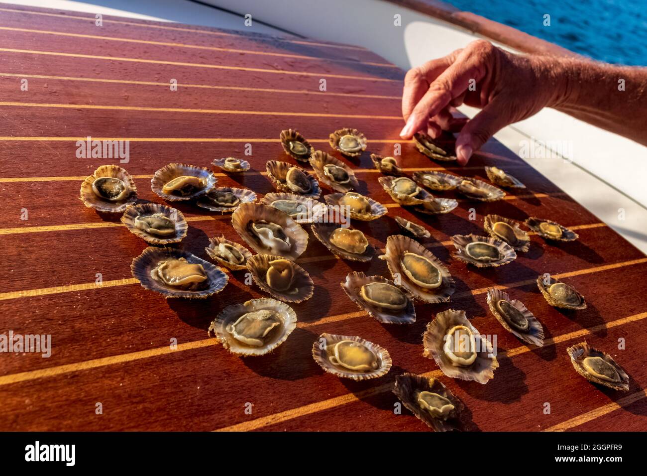Foraging for limpets hi-res stock photography and images - Alamy
