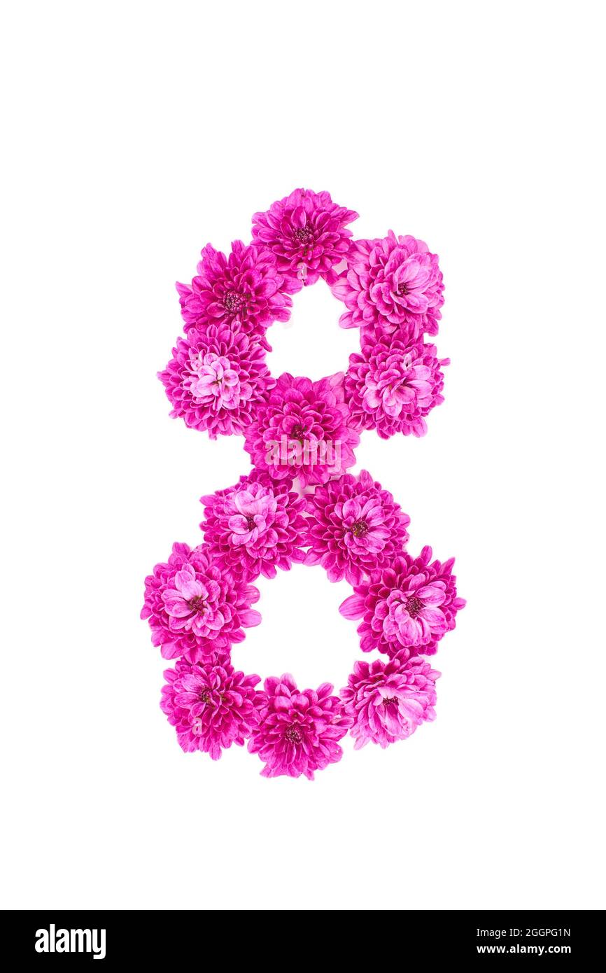 Numbers of flowers, figures from pink Chrysanthemum, isolated on white ...
