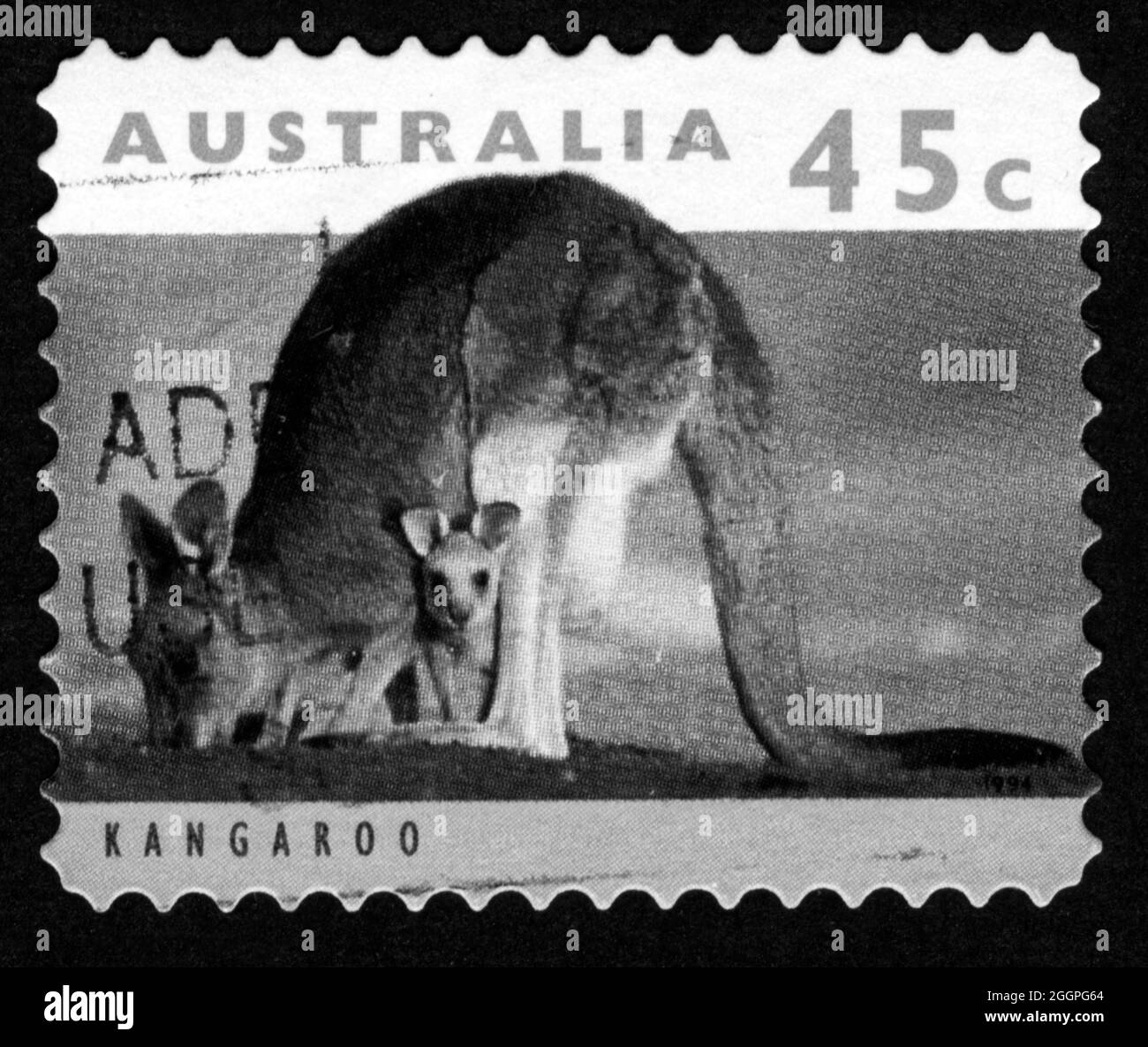 Stamp collecting kangaroo hi-res stock photography and images - Alamy