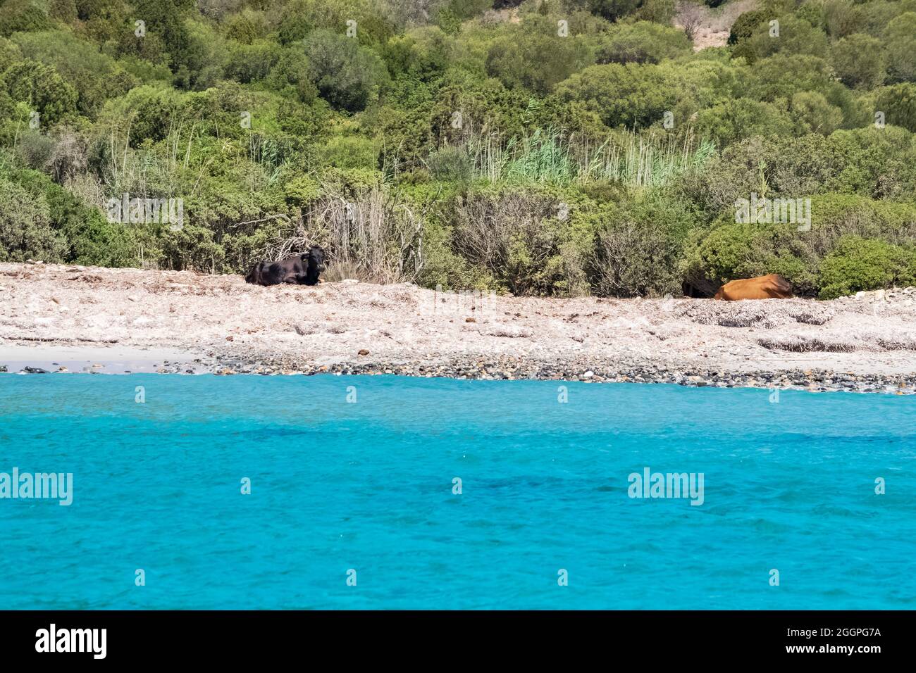 Teulada High Resolution Stock Photography and Images - Alamy