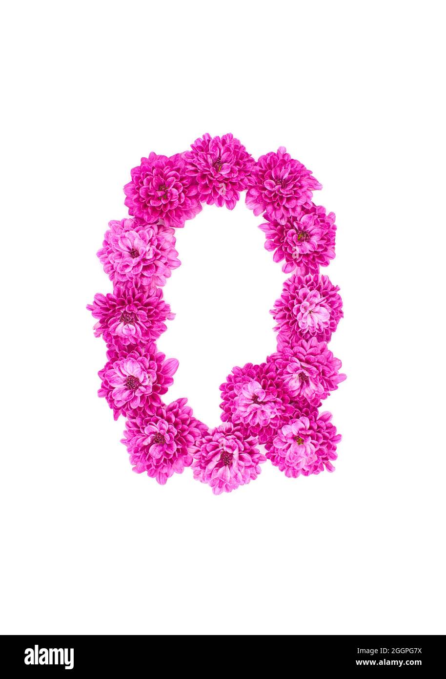 Letter of alphabet made of flowers, figures from pink Chrysanthemum ...