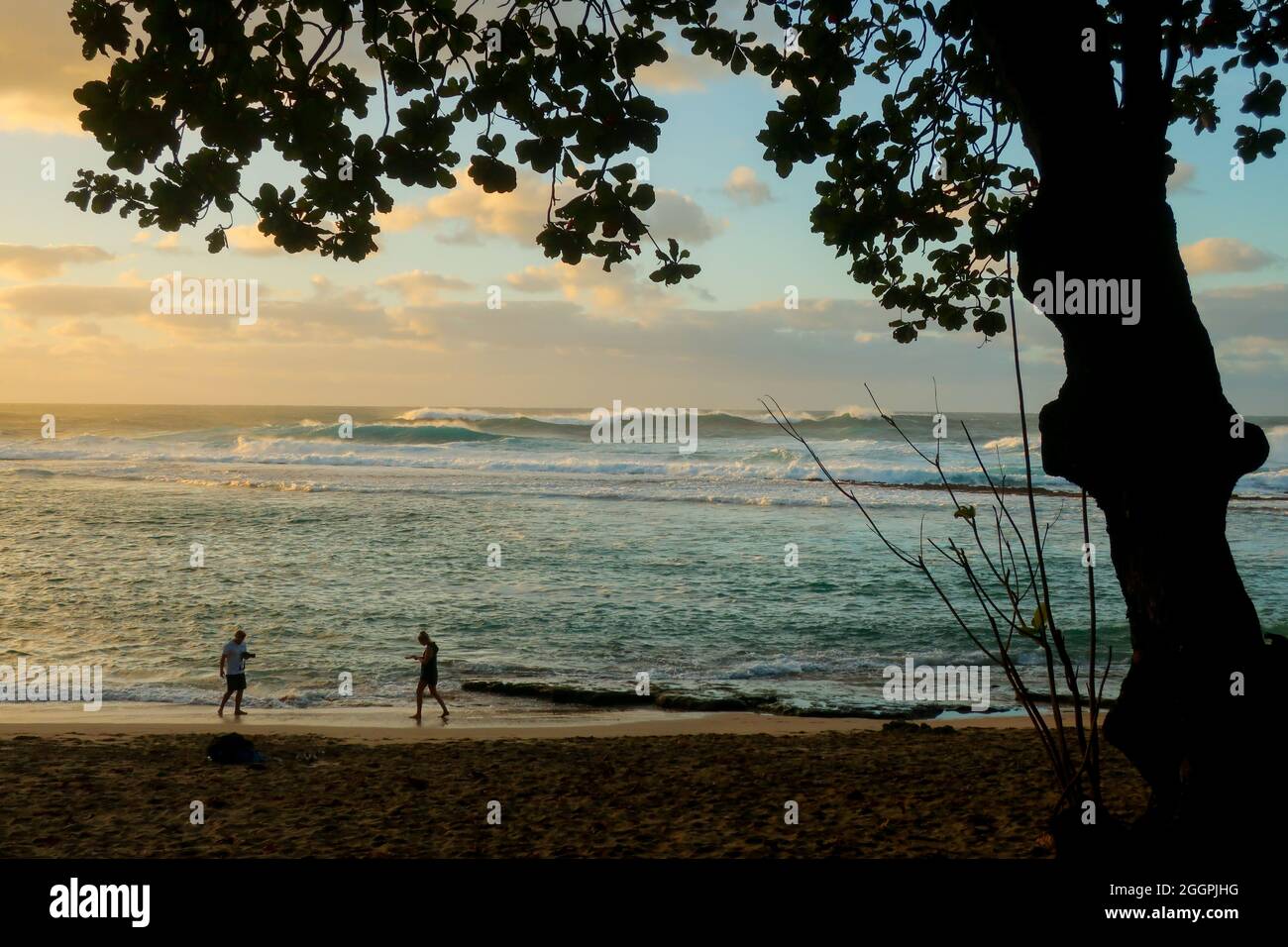 Baseball manager and umpire arguing Stock Photo - Alamy
