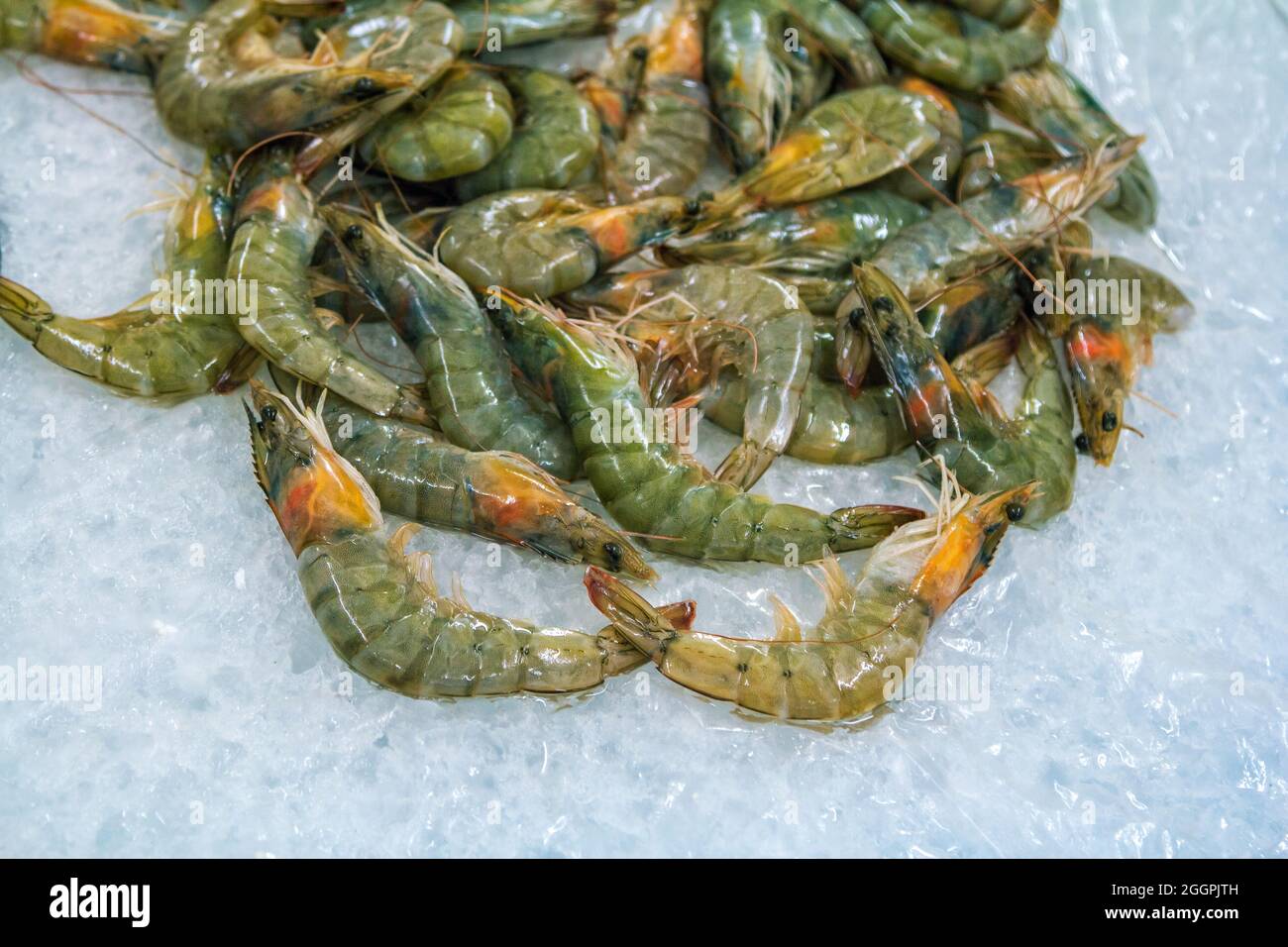 Fresh shrimps seafood sale hi-res stock photography and images - Alamy