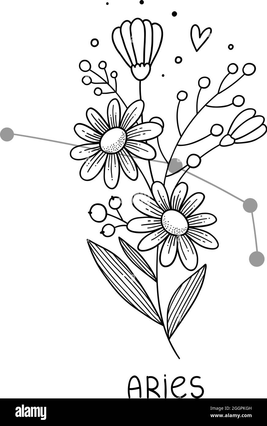 Aries zodiac sign flower 60 photos - Youhoroscope.com