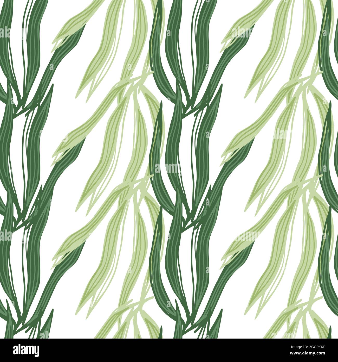 Vintage botanical illustration seaweed Stock Vector Images - Alamy