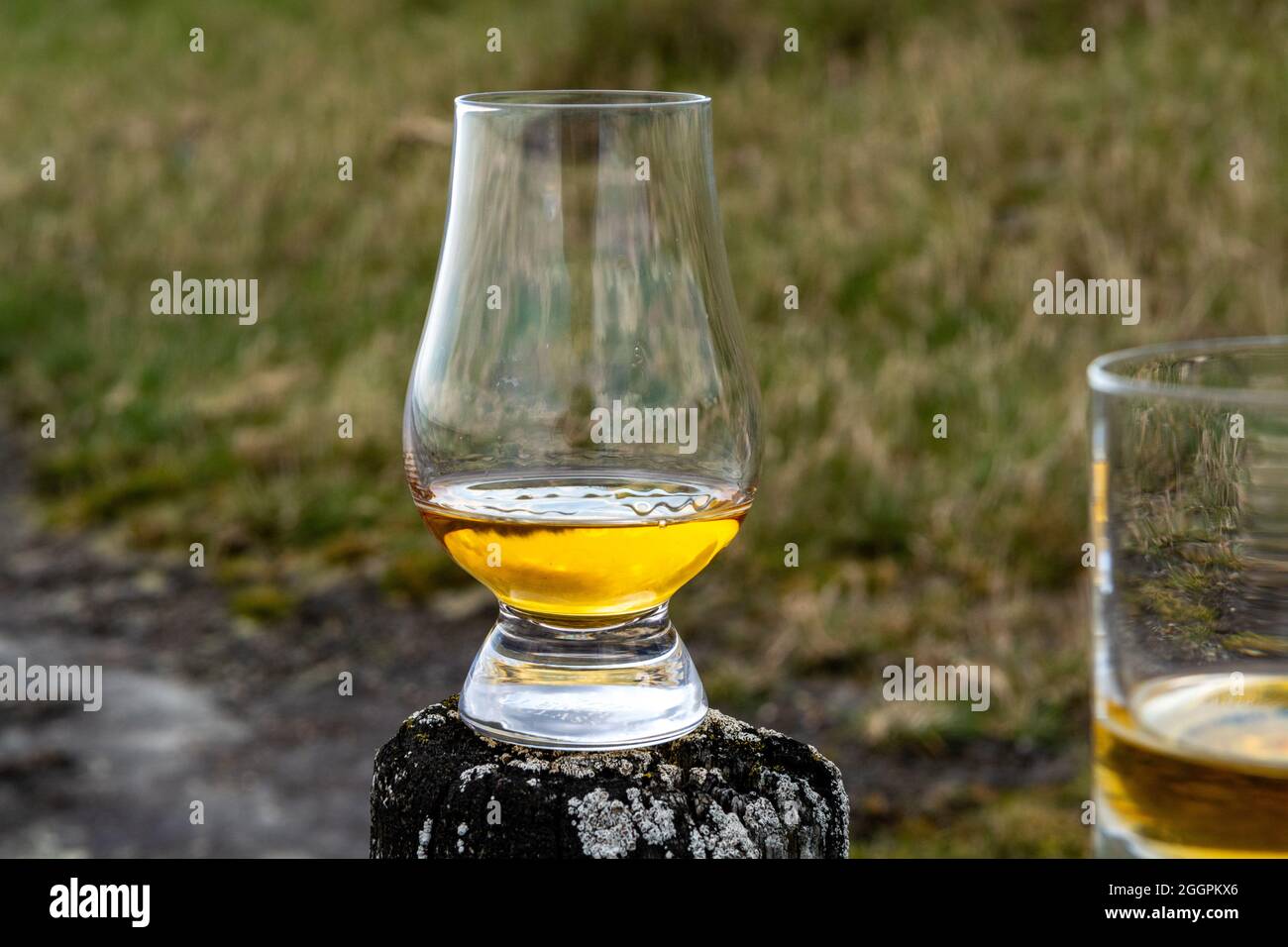 Tasting of dram single malt scotch whisky on seashore in Scotland, old ...
