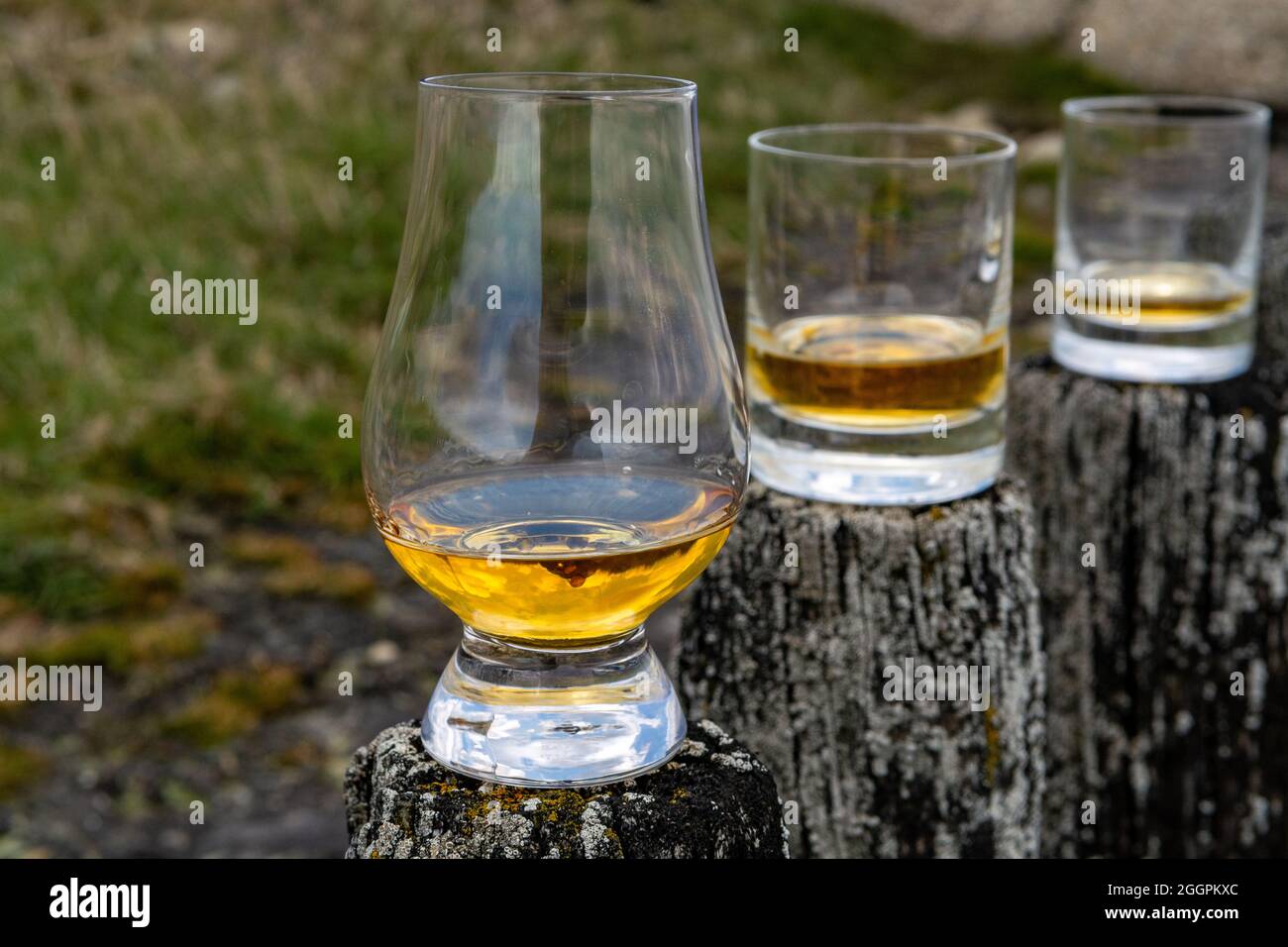 Tasting of dram single malt scotch whisky on seashore in Scotland, old ...
