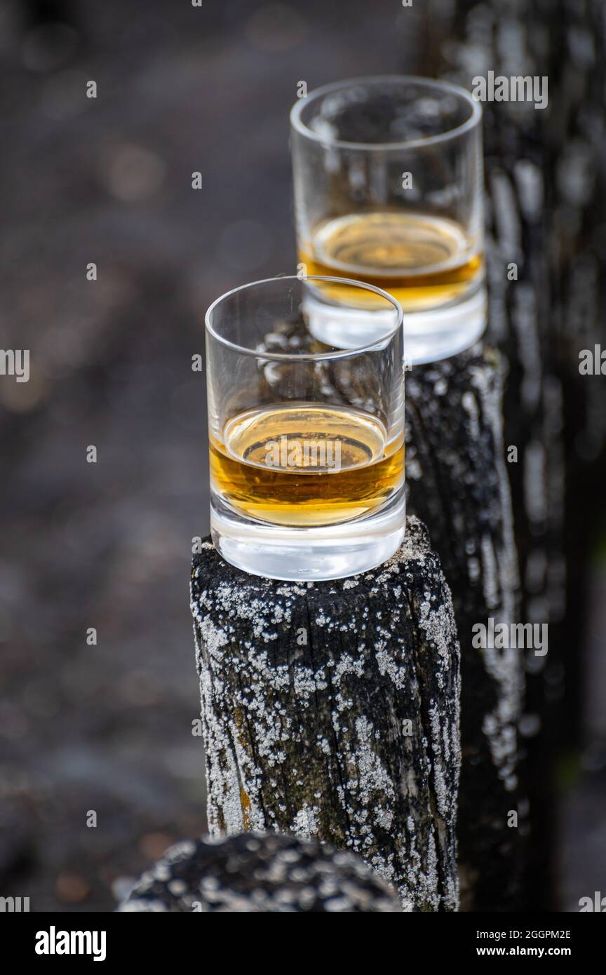 Tasting of dram single malt scotch whisky on seashore in Scotland, old ...