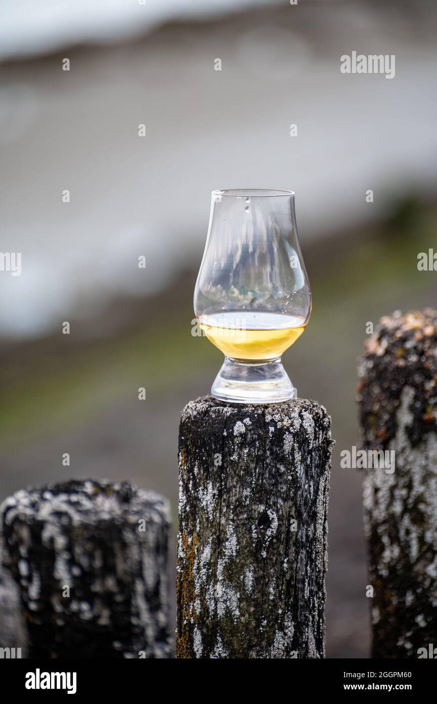 Tasting of dram single malt scotch whisky on seashore in Scotland, old ...