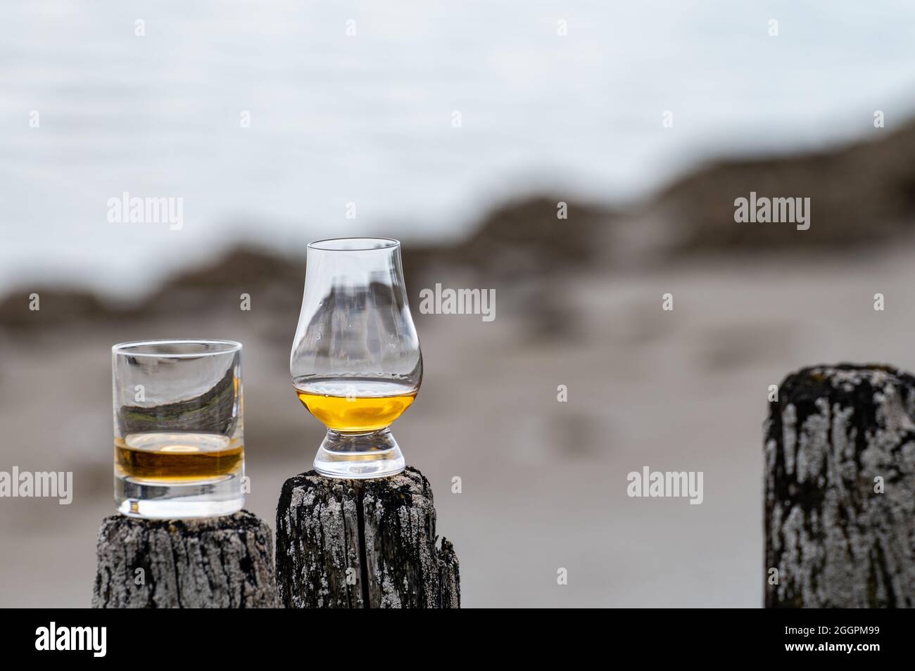 Tasting of dram single malt scotch whisky on seashore in Scotland, old ...