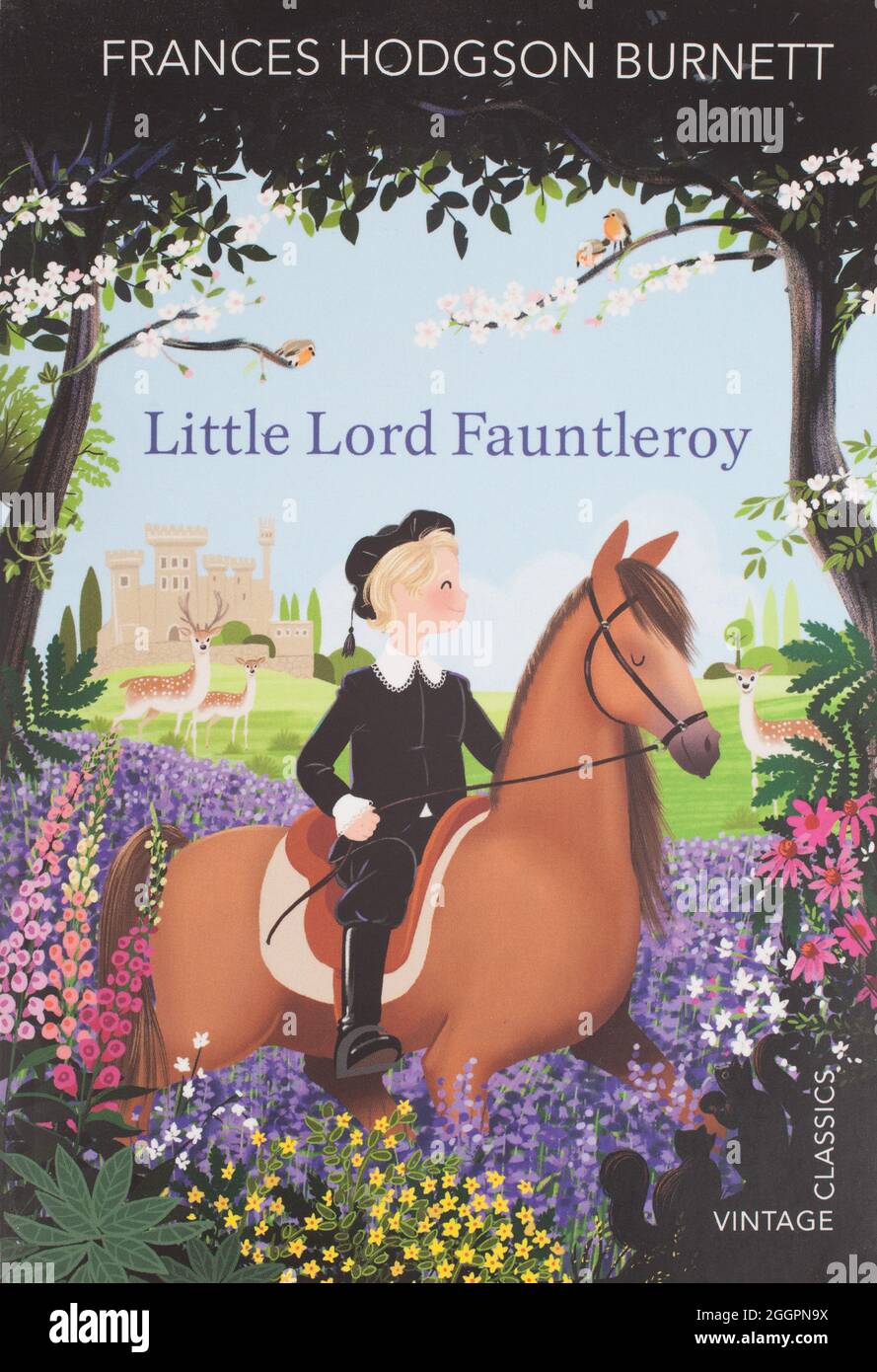Little lord fauntleroy High Resolution Stock Photography and Images - Alamy