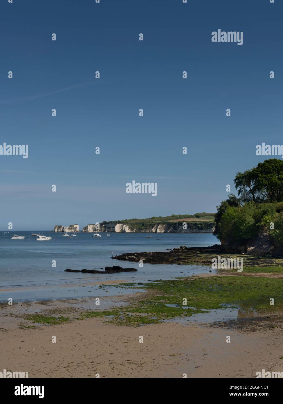 Studland bay boat hi-res stock photography and images - Alamy