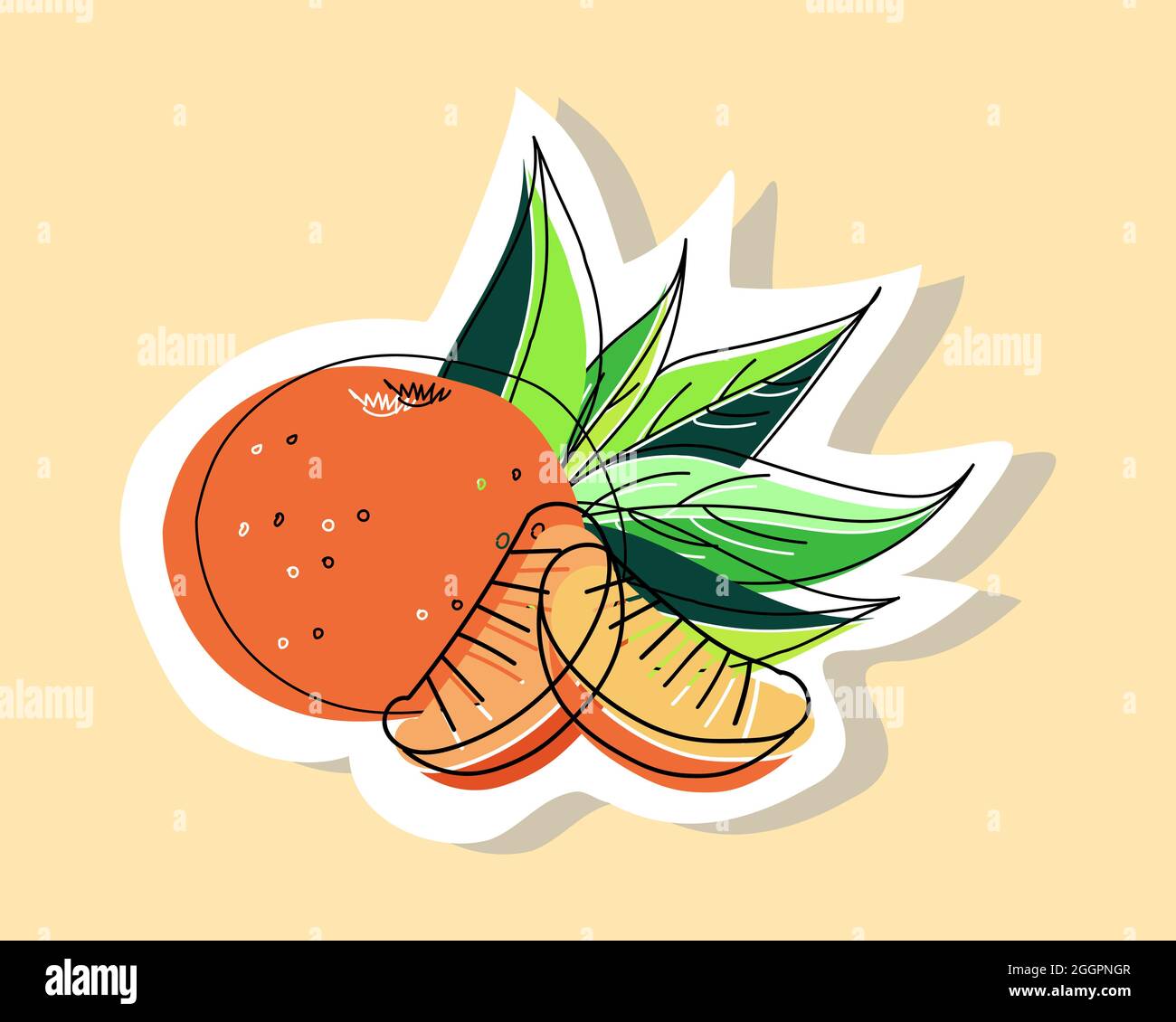 Vector illustration of a tangerine with tangerine slices on a ...
