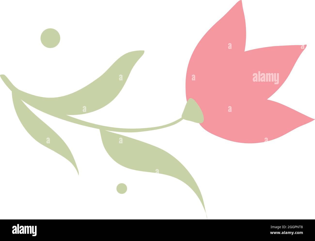 Flowerbed spring in botanical Stock Vector Images - Alamy