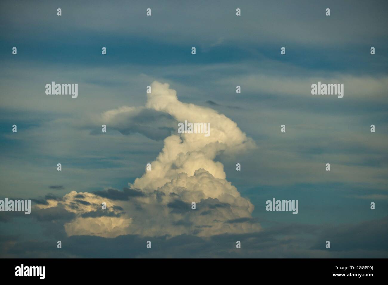 Cloud shaped like a rabbit with white and blue sky in the background ...