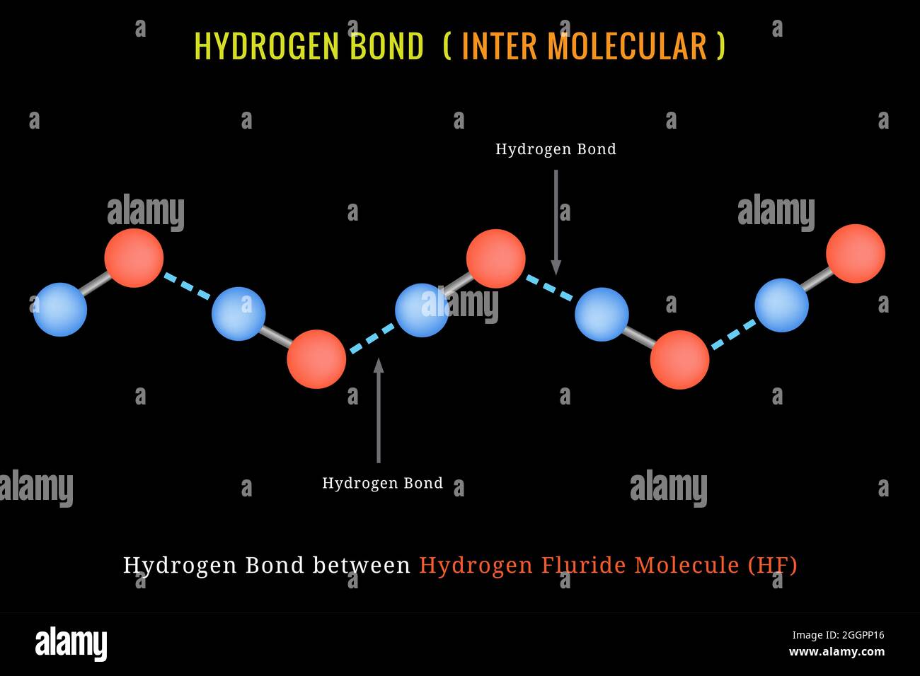 Hydrogen Bond, Inter molecular Hydrogen Bond between Water Molecule ...