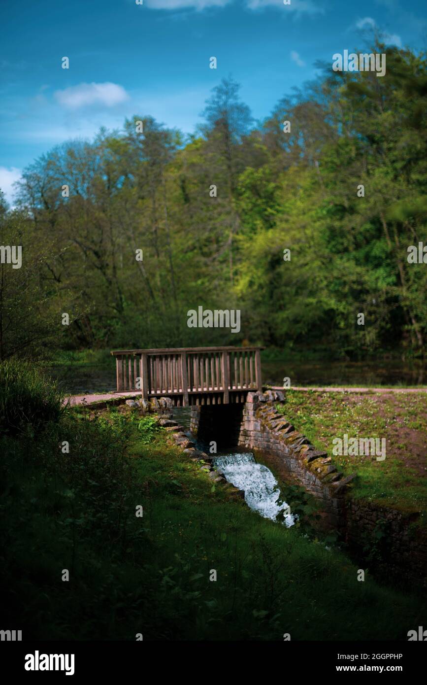 Soudley Ponds, summer 2021 Stock Photo - Alamy
