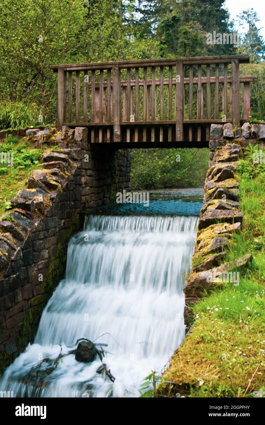 Soudley Ponds, summer 2021 Stock Photo - Alamy