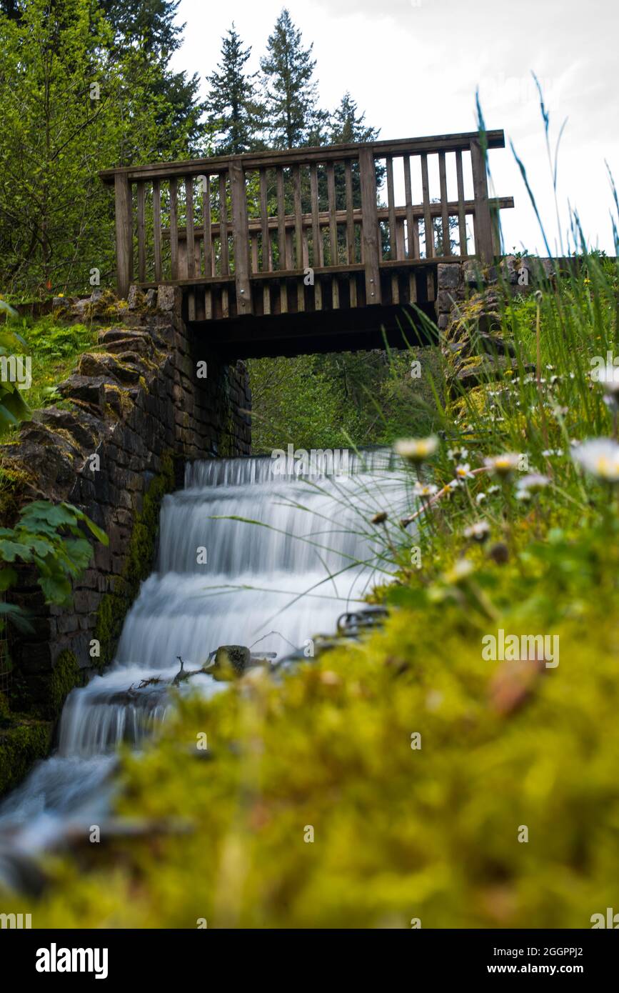 Flora of ponds hi-res stock photography and images - Alamy