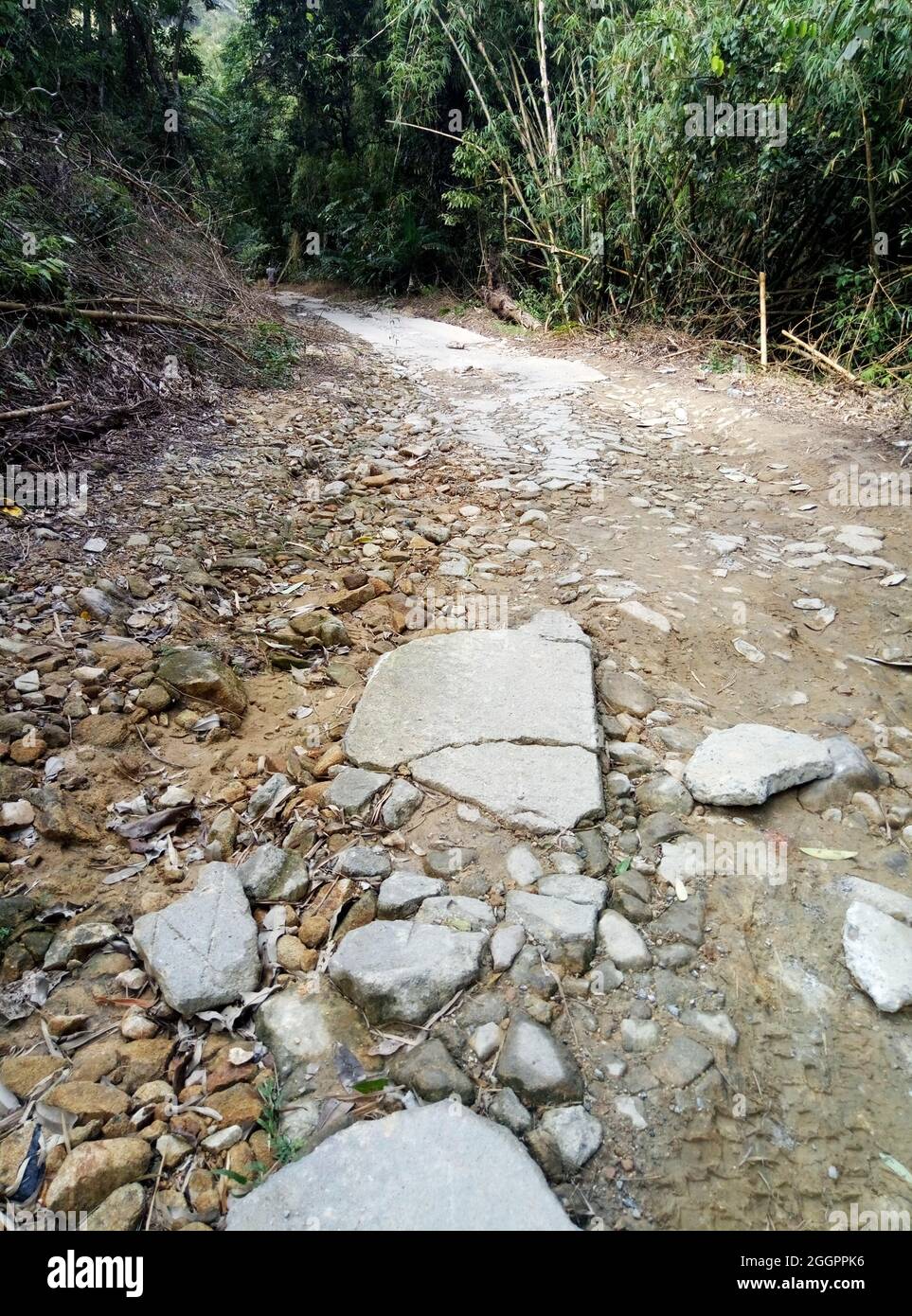 Rough road in the jungle of Asia. The countryside of Thailand Stock ...