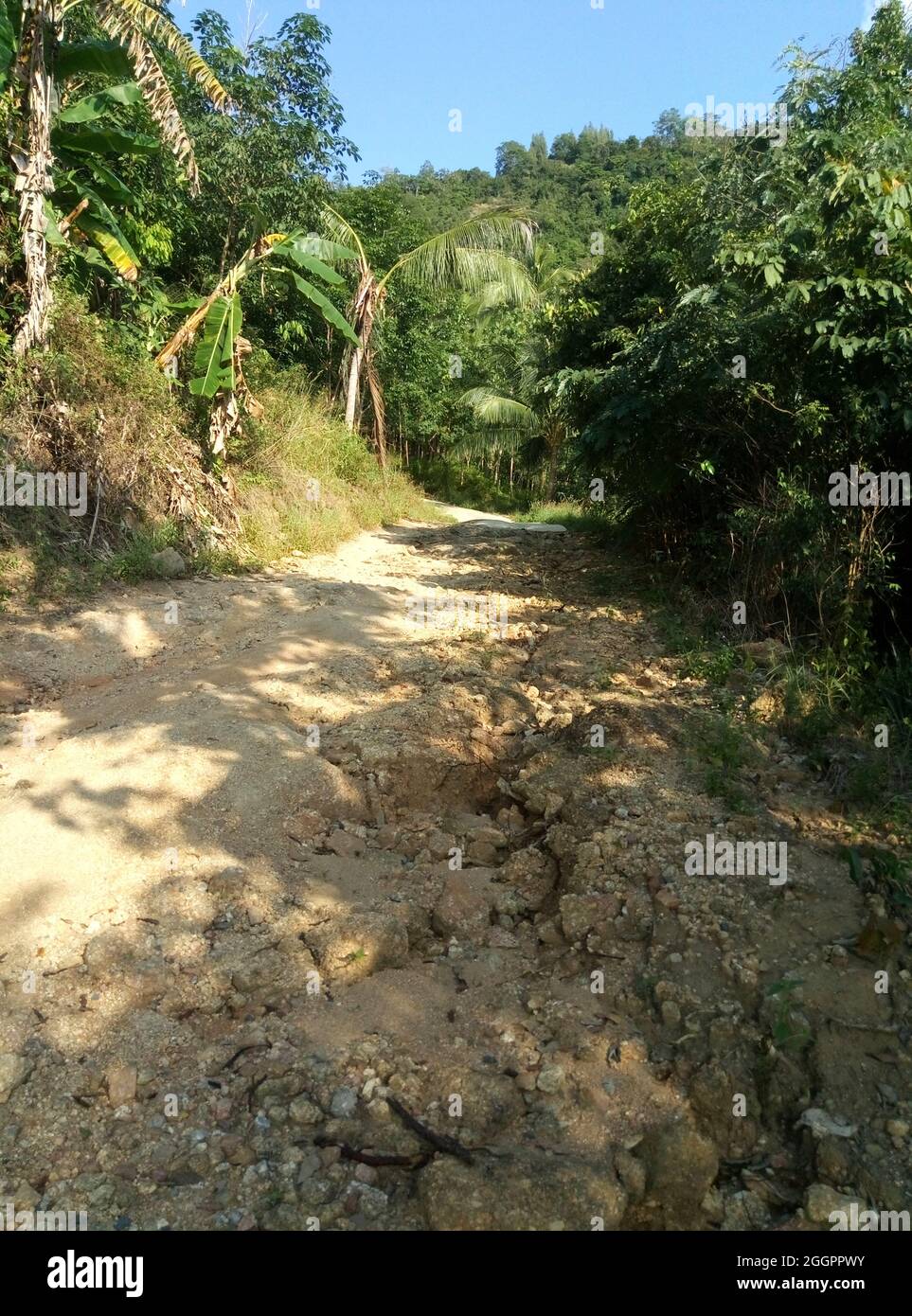 Rough road in the jungle of Asia. The countryside of Thailand Stock ...
