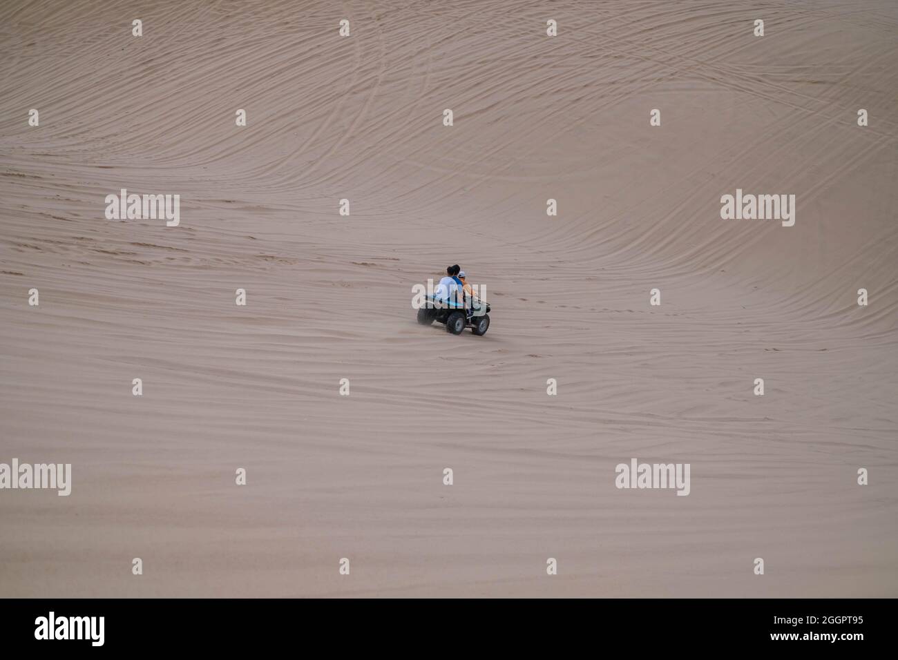 Picturesque view of driving ATV in desert and tire tracks on sand on ...