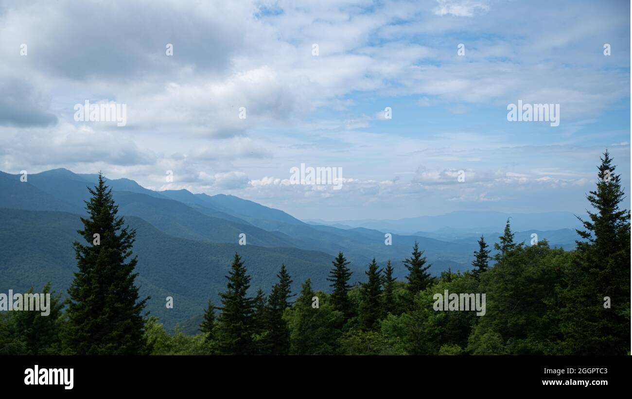 Color Panorama of Appalachian Mountains from a High Vista with Pine ...