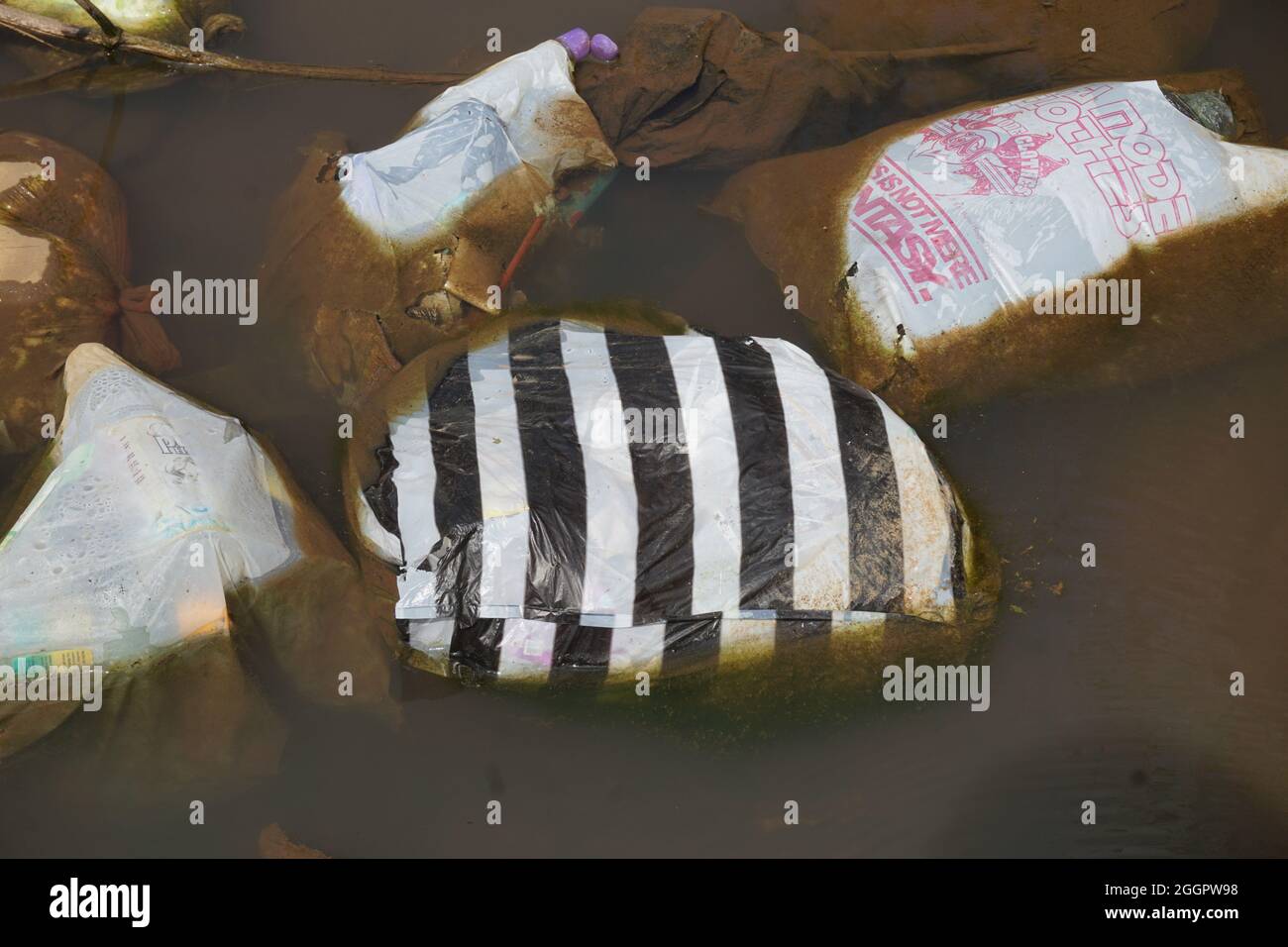 Garbage in river rock background hi-res stock photography and images ...