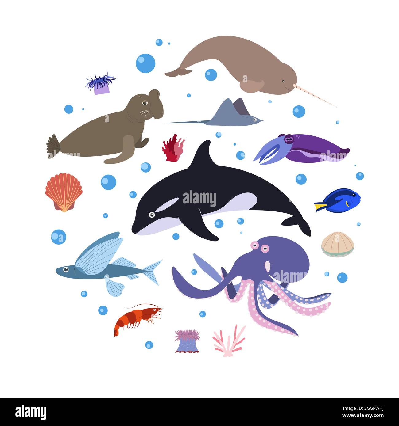 Design template with sea animal in circle for kid print. Round ...